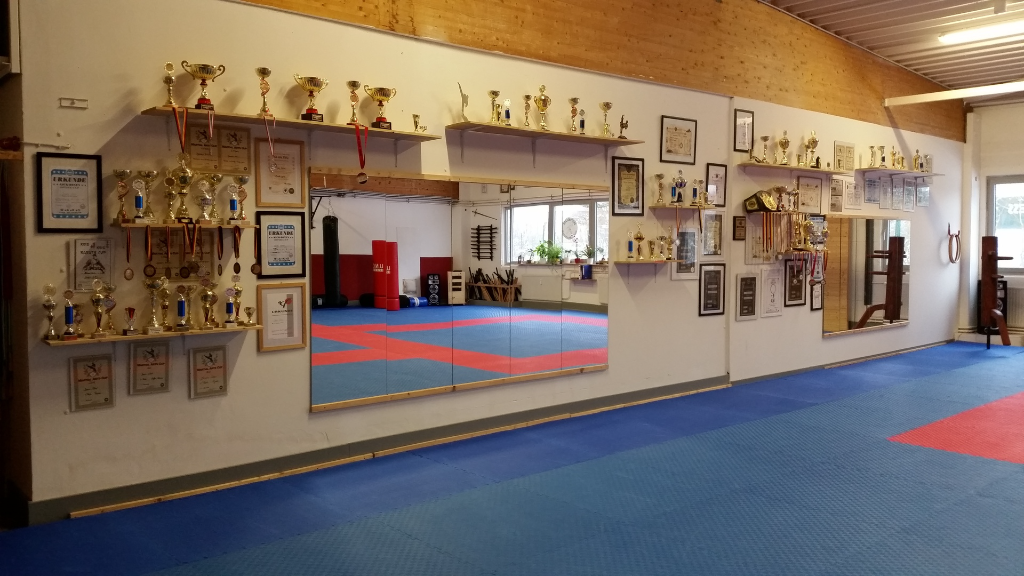 Dojo - Kampfkunstschule Mushin